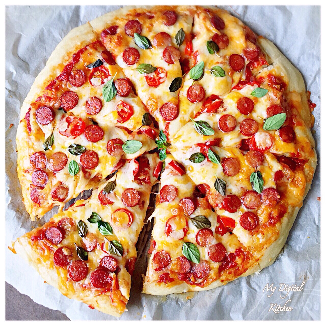 SMOKED TURKEY SAUSAGE AND CHEESE PIZZA - My Digital Kitchen